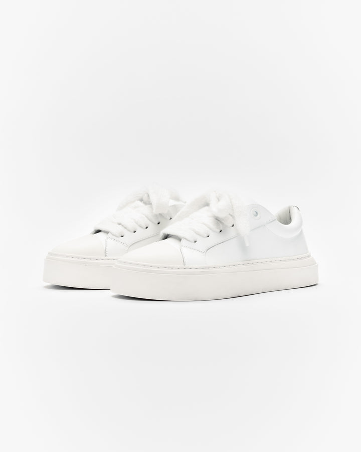 Cole Buxton | New Launches